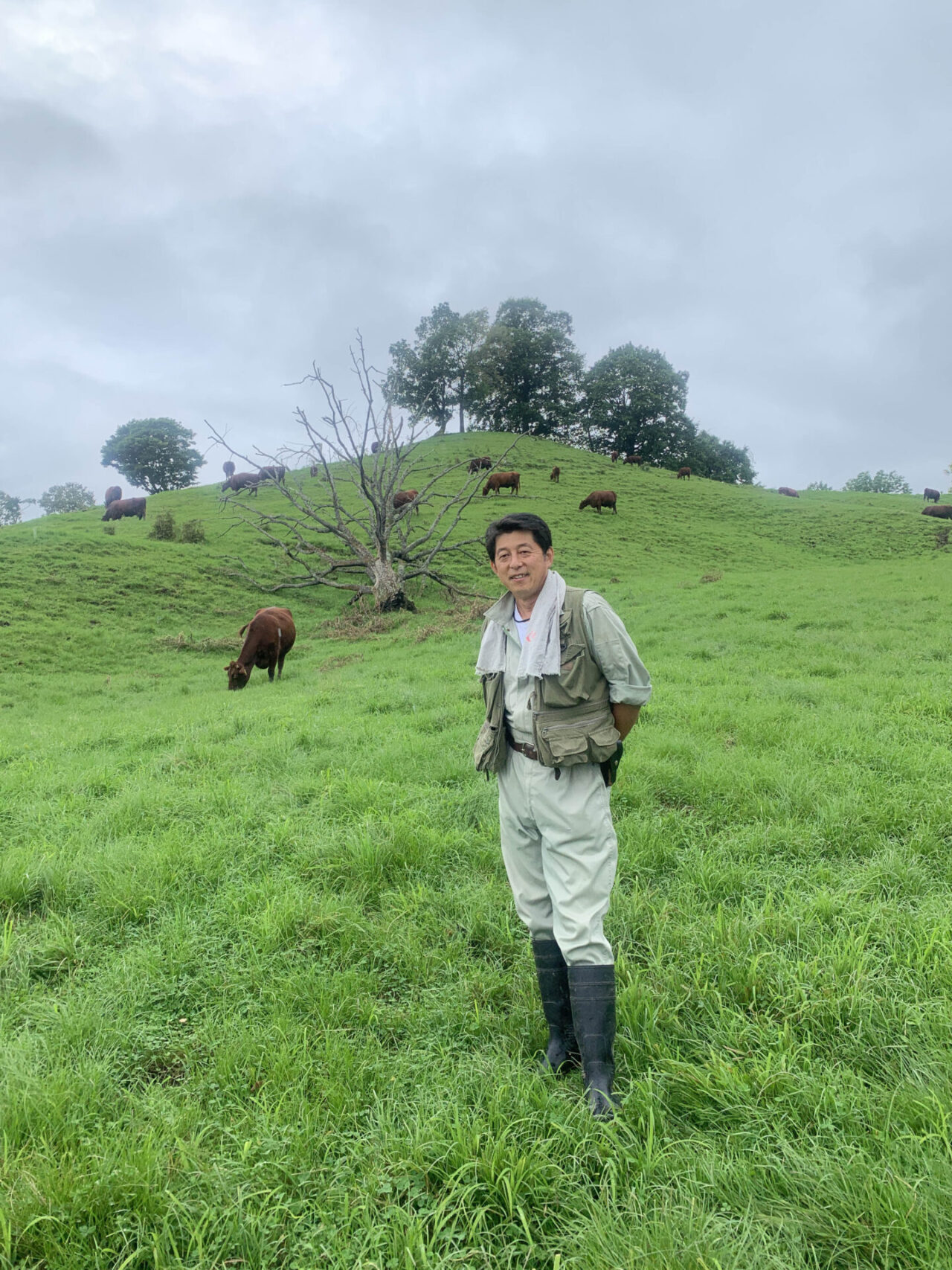 北大短角牛、給食でふるまわれる – いいね！Hokudai