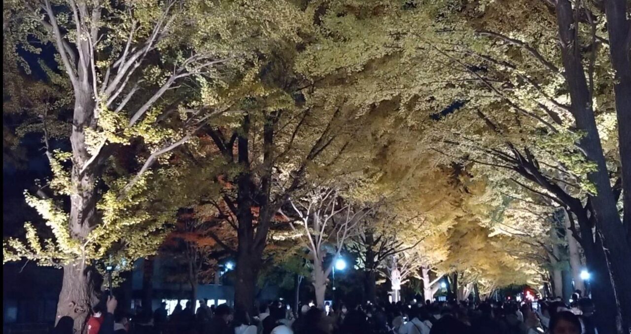 帰ってきた金葉祭ライトアップ – いいね！Hokudai