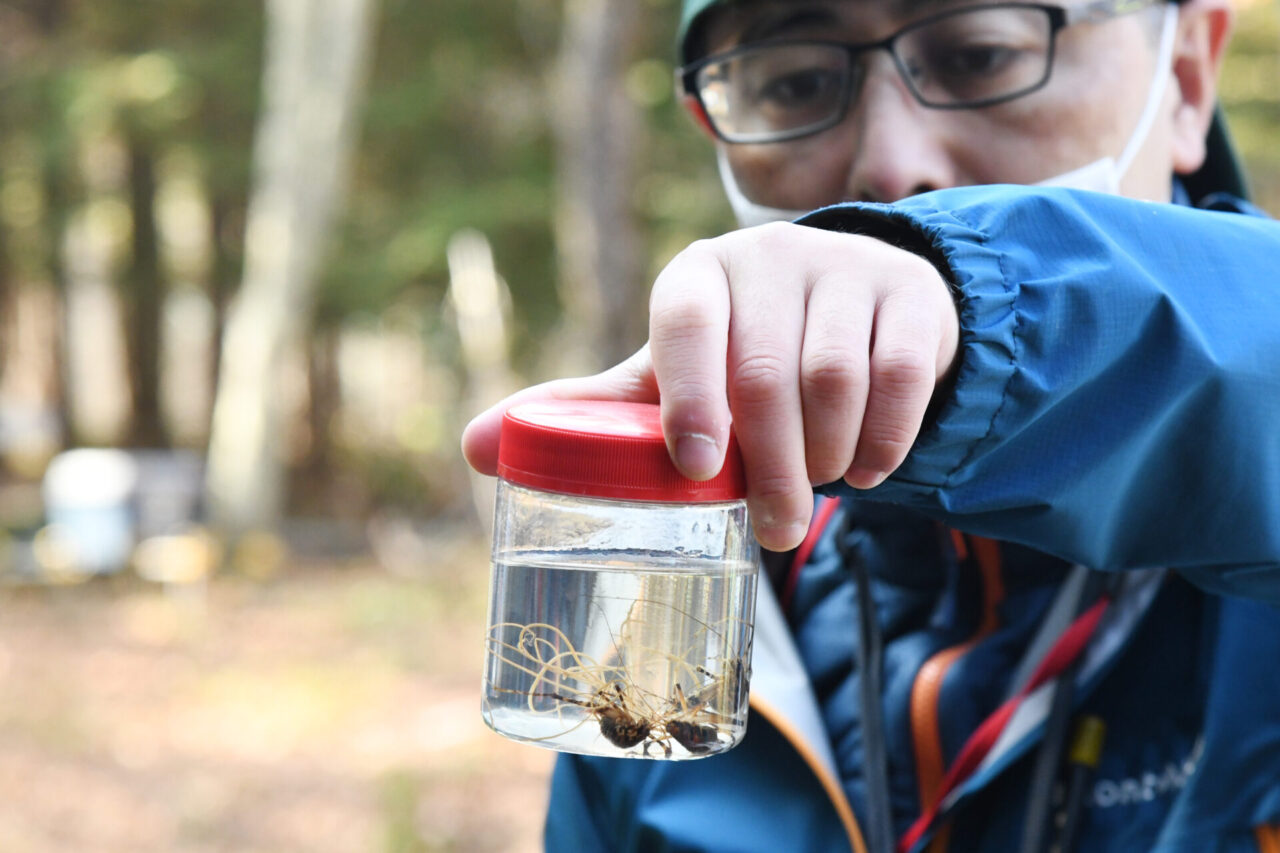 #190 苫小牧研究林で初めてに挑む（1）～モンベルツアーで気分は研究者～ – いいね！Hokudai