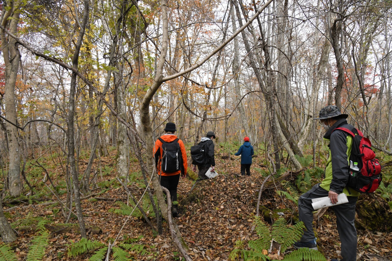 #190 苫小牧研究林で初めてに挑む（1）～モンベルツアーで気分は研究者～ – いいね！Hokudai