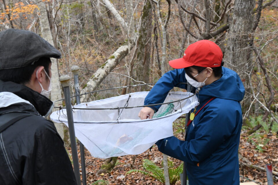 #190 苫小牧研究林で初めてに挑む（1）～モンベルツアーで気分は研究者～ – いいね！Hokudai