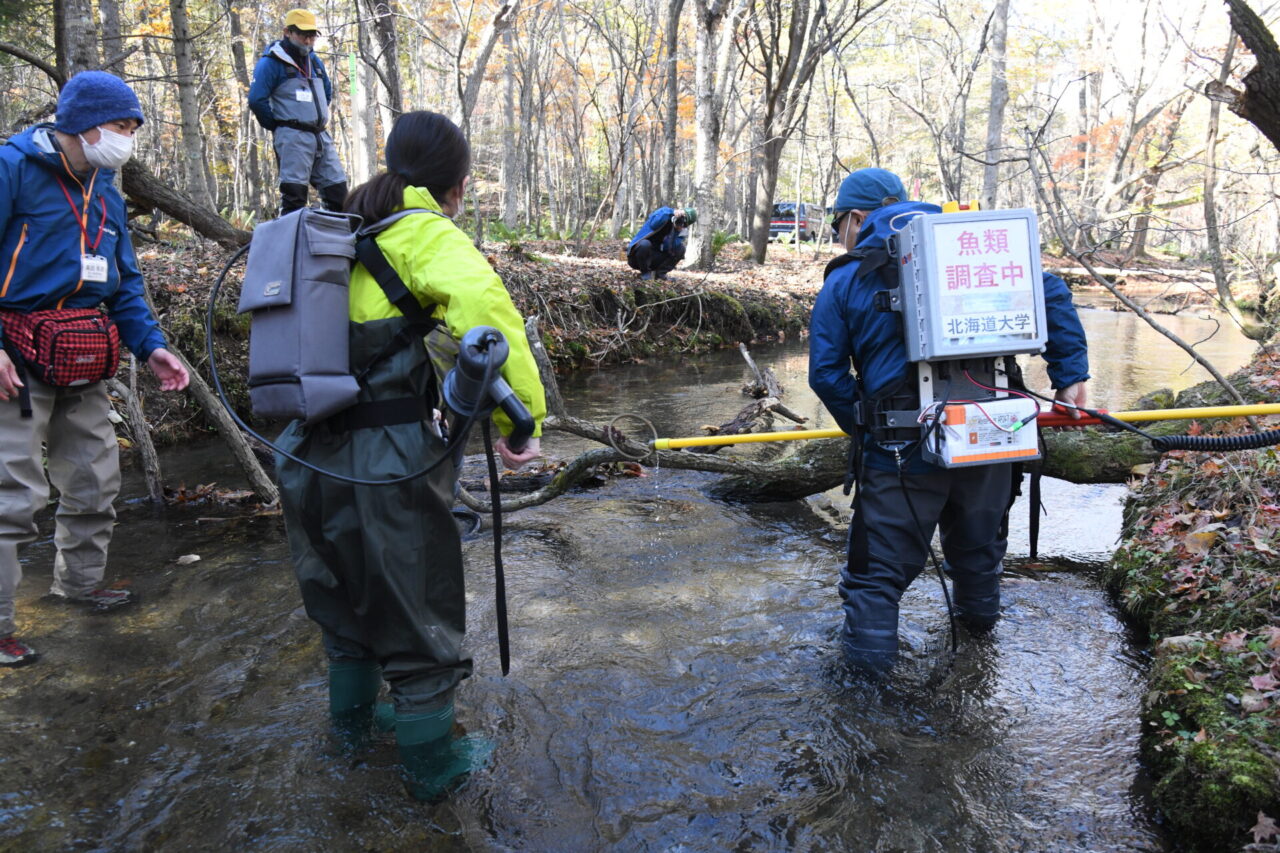 #190 苫小牧研究林で初めてに挑む（1）～モンベルツアーで気分は研究者～ – いいね！Hokudai
