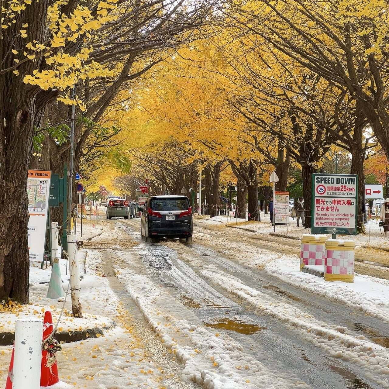 雪と紅葉のコラボレーション – いいね！Hokudai