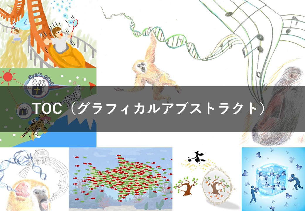 大学院共通授業科目「大学院生のためのセルフプロモーションⅡ」でTOC（グラフィカルアブストラクト）を制作 – CoSTEP – 北海道大学 大学院教育推進機構 科学技術コミュニケーション教育研究部門