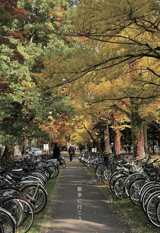 2023年度多文化交流科目「北海道大学を発見しよう」を開催しました – CoSTEP – 北海道大学 大学院教育推進機構 科学技術コミュニケーション教育研究部門