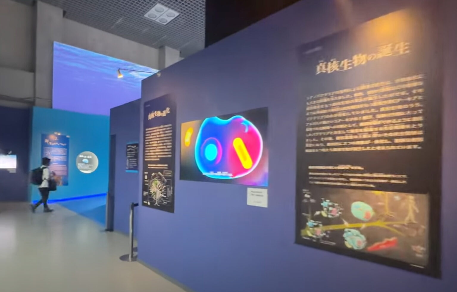 特別展『海ー生命のみなもと』にてCoSTEP大内田のイラストがパネル展示されました – CoSTEP – Communication in Science and Technology ...