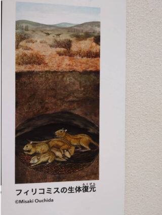 特別展『恐竜博2023』にてCoSTEP大内田の復元画がパネル展示されました – CoSTEP – Communication in Science and Technology ...